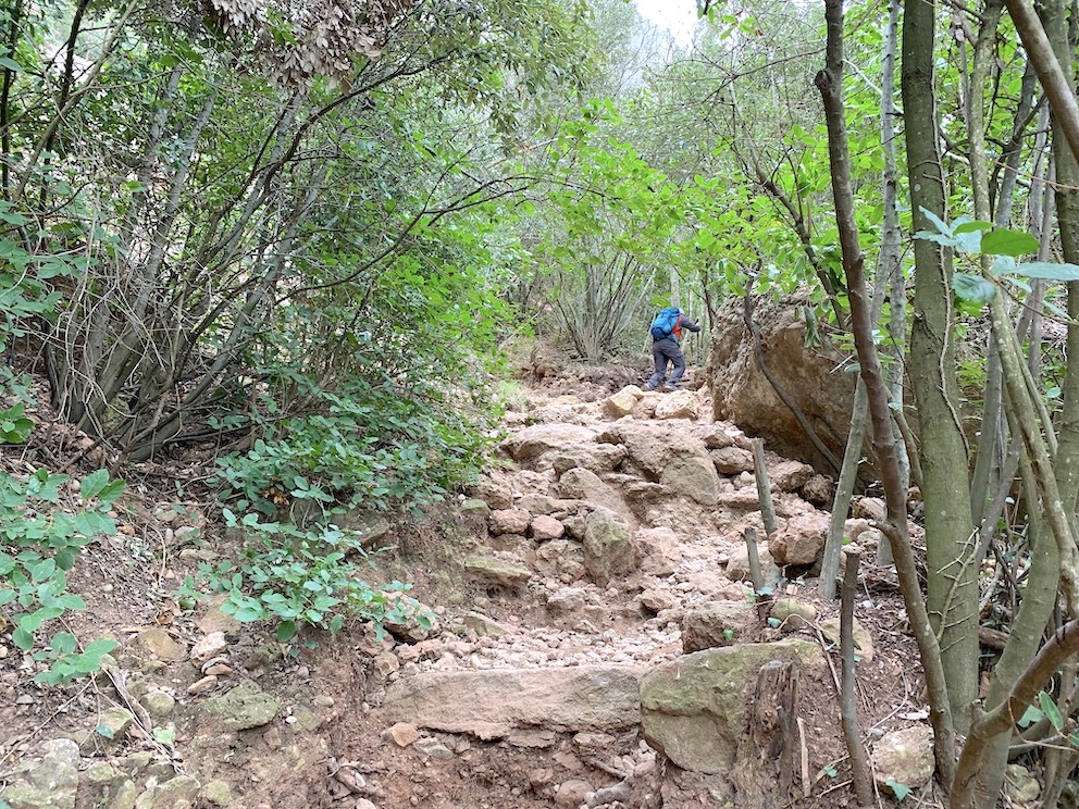 Ruta a la Roca Foradada de Montserrat - Viajo luego Escribo